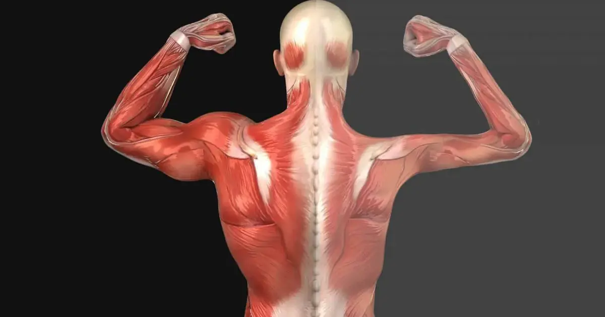 Distal Muscular Dystrophy Care at Life Physiotherapy Clinic