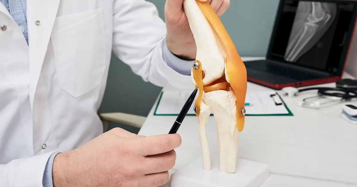 Medical Collateral Ligament (MCL) Injury - Life Physiotherapy Clinic