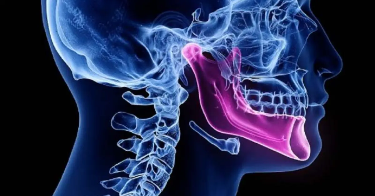 Temporomandibular Joint (TMJ) - Life Physiotherapy Clinic